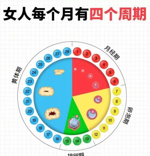 月经第六天越来越多是怎么回事图标