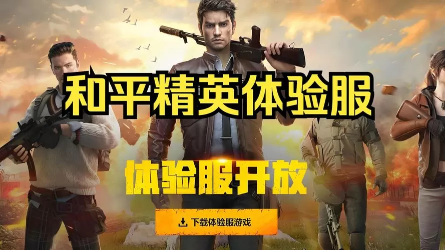 和平精英体验服安装图标