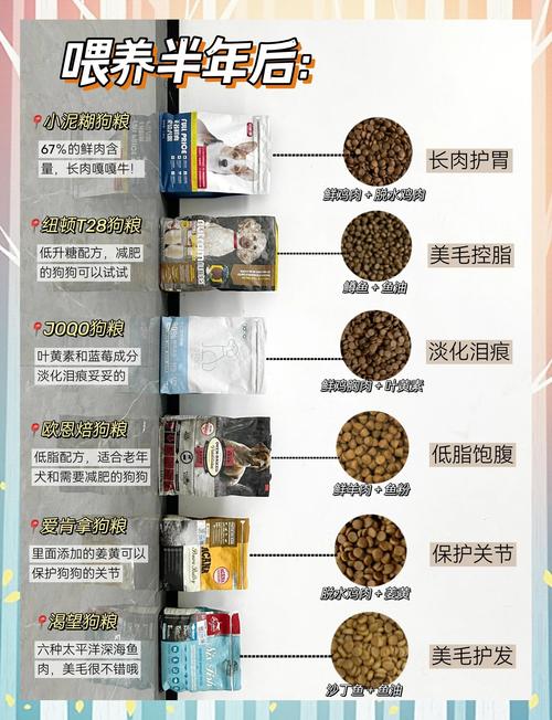 狗粮专业户
