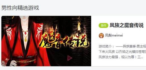 凤族之魔音传说