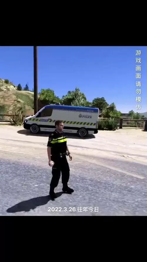 菜鸡大叔解说车祸模拟器有哪些截图