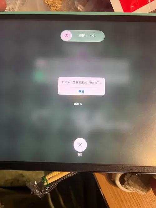 ipad死机了屏幕动不了