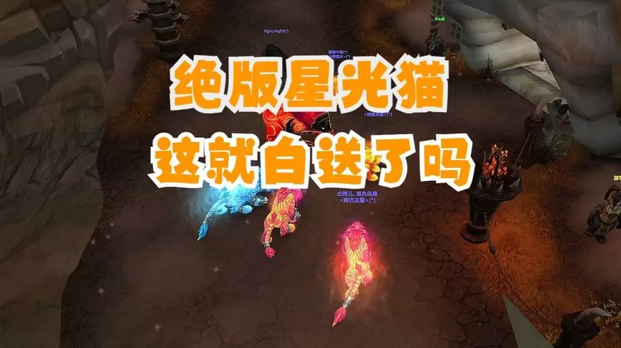 星光猫外观解锁方式截图
