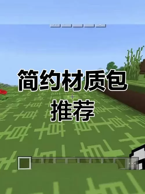 我的世界手机版材质包位置