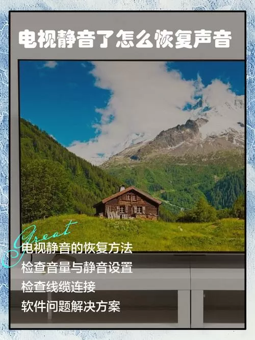 电视静音了怎么恢复截图