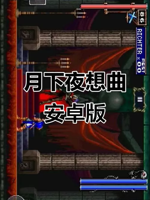 恶魔城月下手机版下载图标