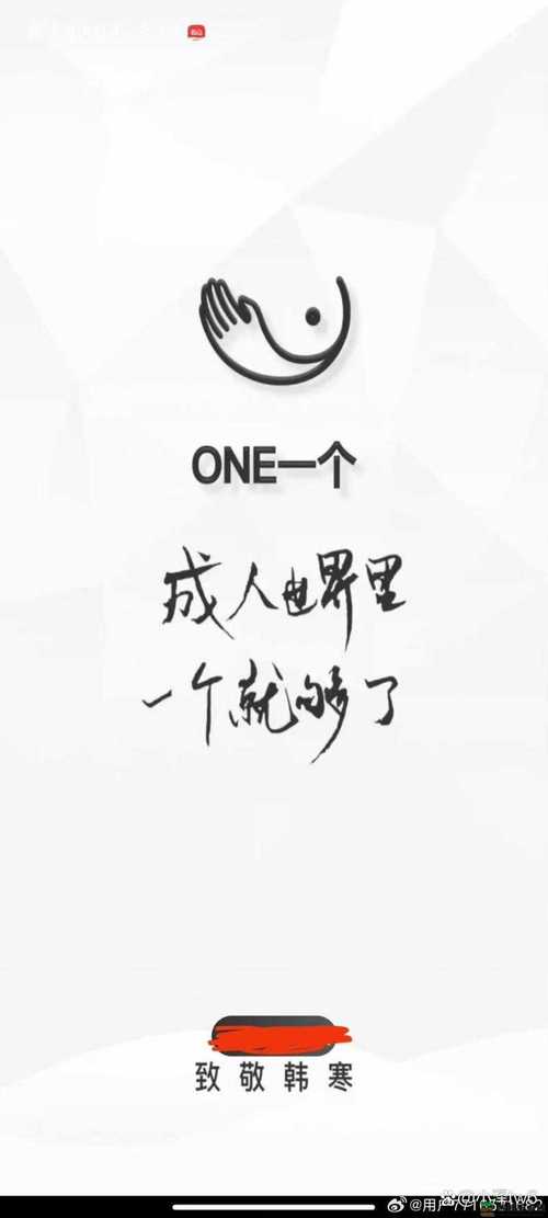 one轻量版致敬韩寒图标