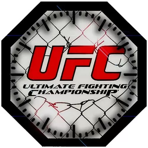 ufc5下载教程截图