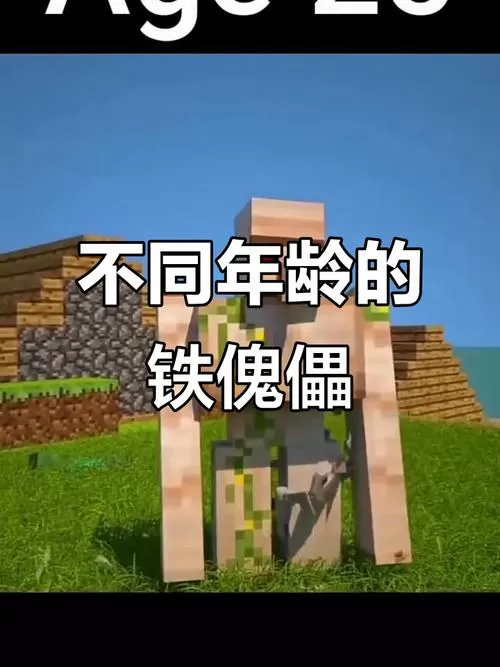 我的世界铁傀儡生成条件图标