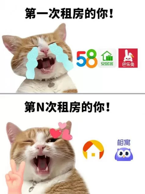 重庆公租房30批次房源信息截图