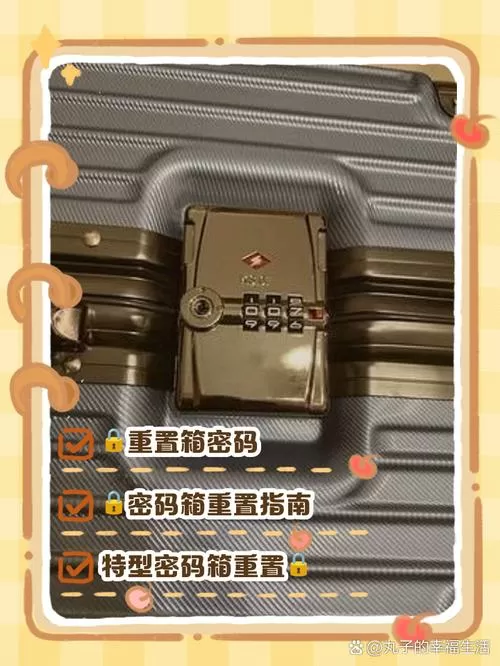 密码箱恢复出厂设置图标