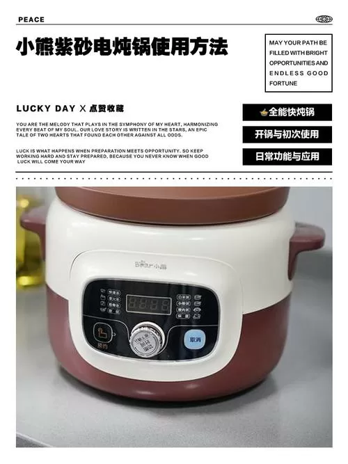 小熊电炖锅的使用方法