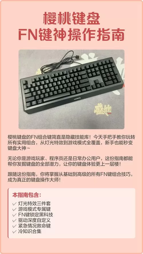 樱桃键盘fn键在哪图标