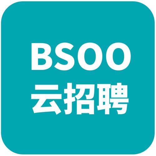 云招聘系统9.0图标