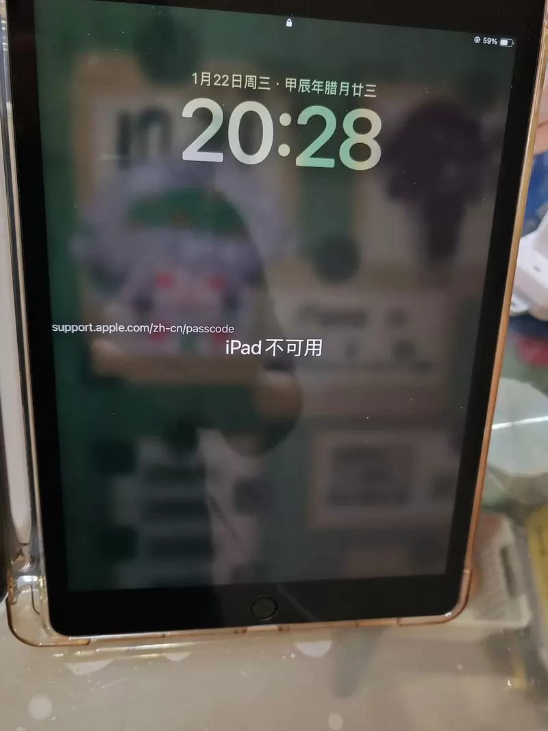 ipad主屏幕按钮没反应截图