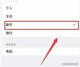 苹果怎么切换主号副号通话图标