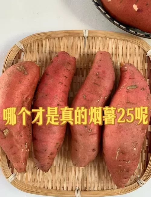 蜜薯25和烟薯25区别截图