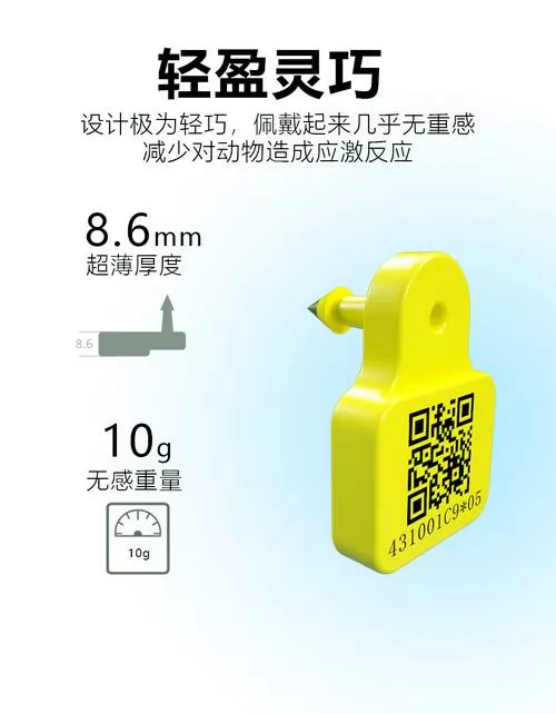 aw作弊码是多少图标