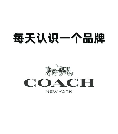 小豆蔻原名叫什么截图