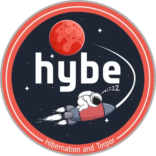 主播同款宇宙服助手截图