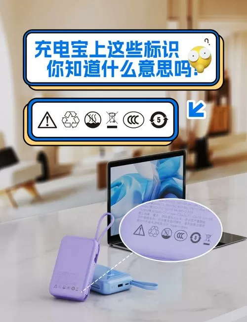 充电宝边充电边充手机可不可以图标