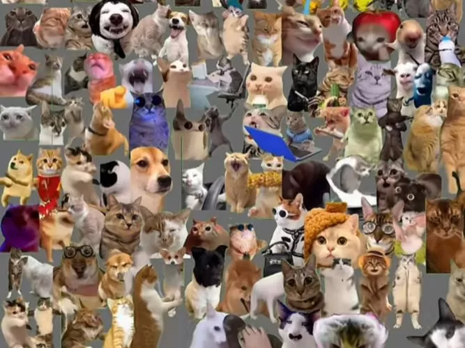 猫meme万恶之源原声截图