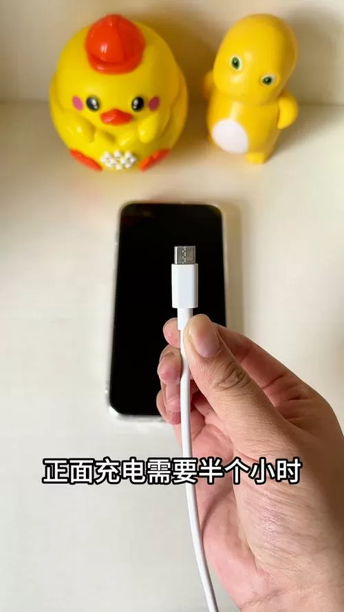 充电线分正反吗图标