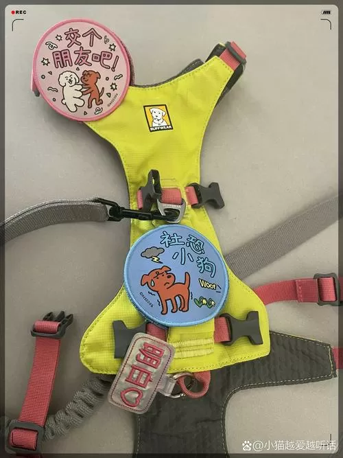 knoddskogen怎么扔小孩