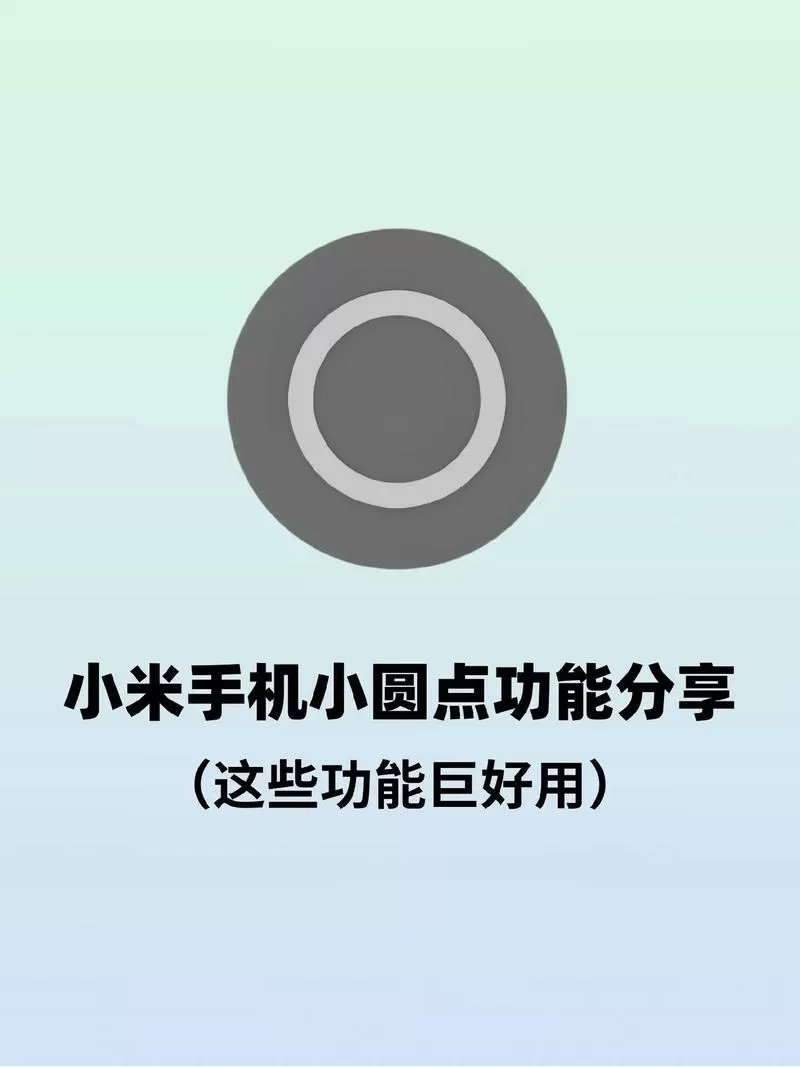 小米手机圆点设置方法截图