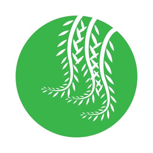 柳树网骗局图标