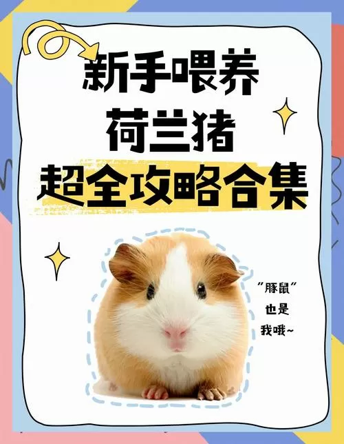豚鼠好养活吗图标