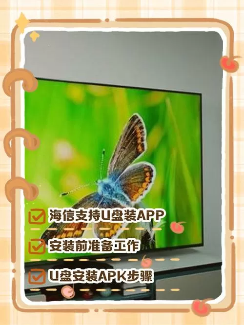 海信电视哪里可以插u盘截图