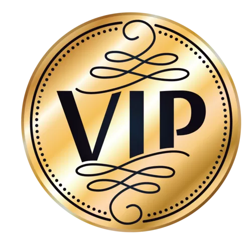 vip j r图标