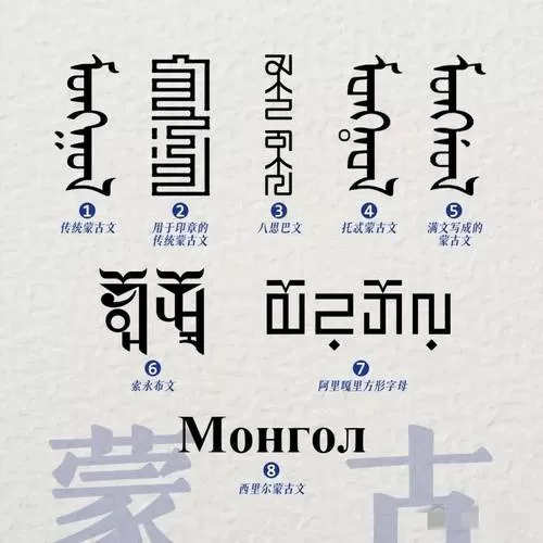 蒙语翻译器图标