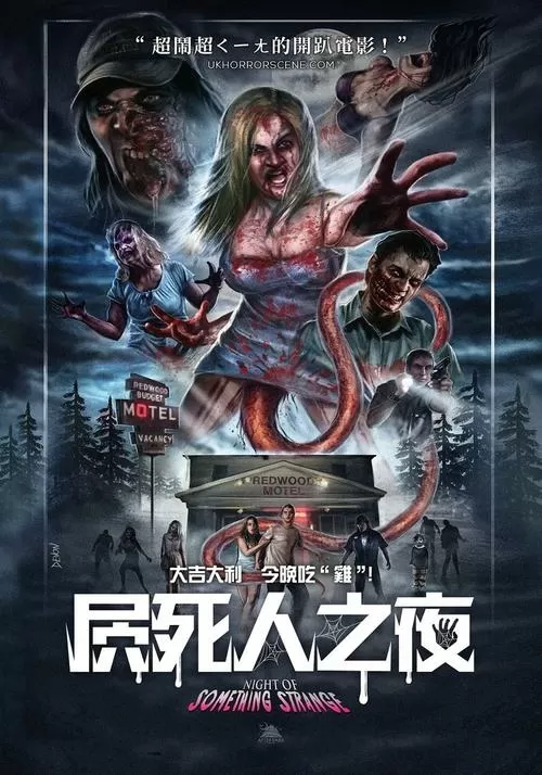 奇怪的夜晚电影高清资源图标