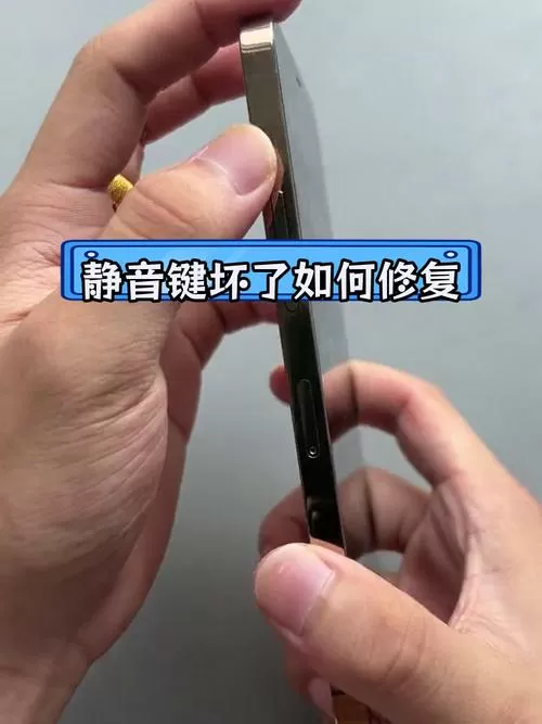 苹果旁边静音键坏了图标