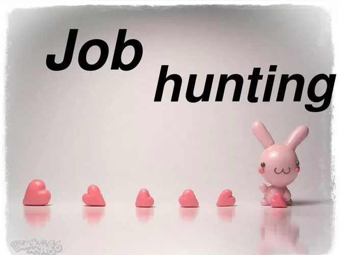job hunting课件截图