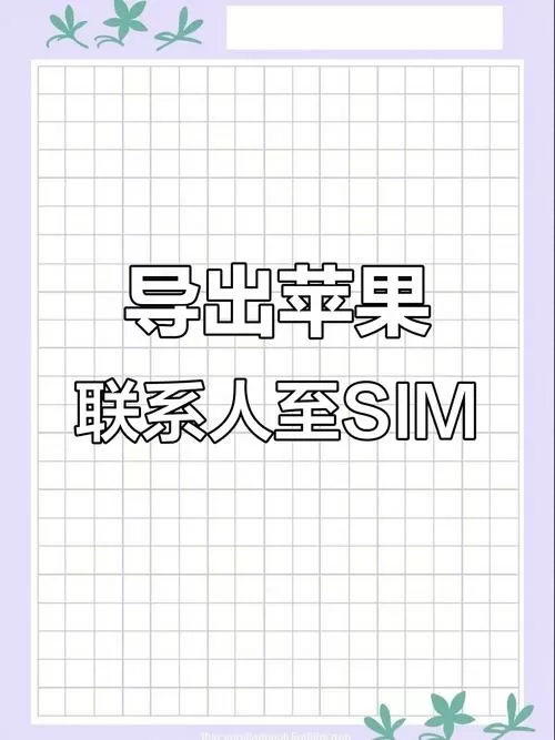 苹果把联系人存到卡里截图