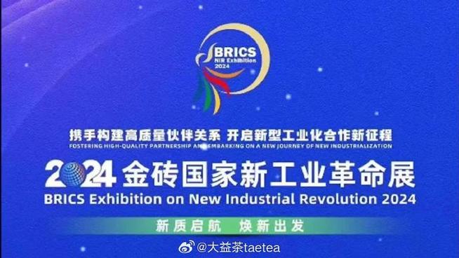 金砖弱网2024下载图标