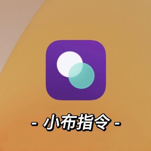 小布指令app最新版下载图标