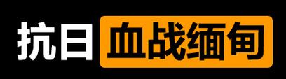 血战缅甸截图