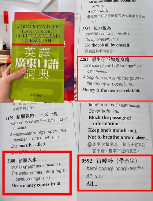 粤语词典手机版官方版下载