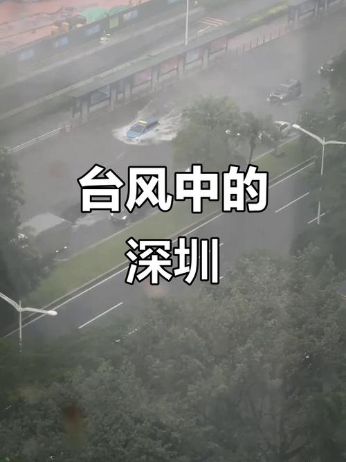 深圳台风网手机版下载截图