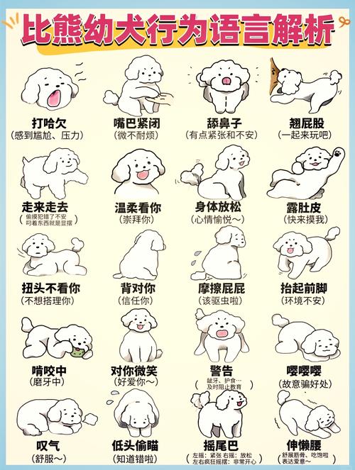 比熊漫画无广告2024最新版本下载