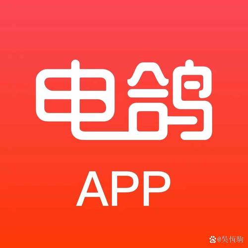 电鸽app下载图标