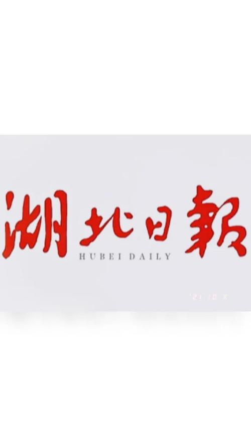 湖北日报电子版截图