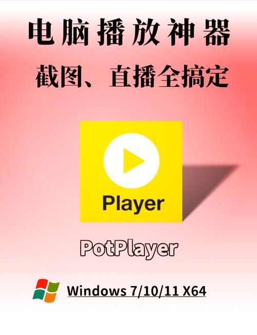 potplayer安卓版下载手机版图标