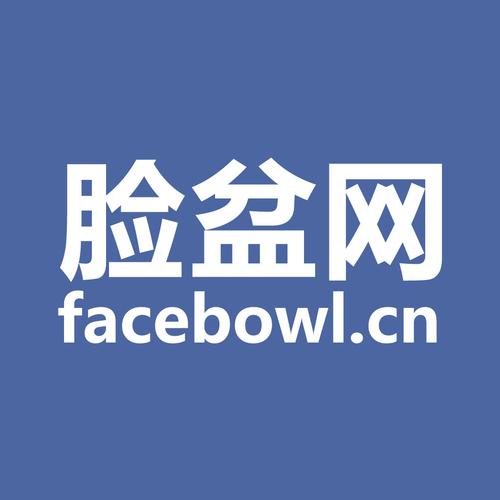 脸盆网图标