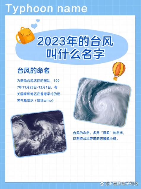 台风视频下载台风视频 最新版v2.4.1 下载图标