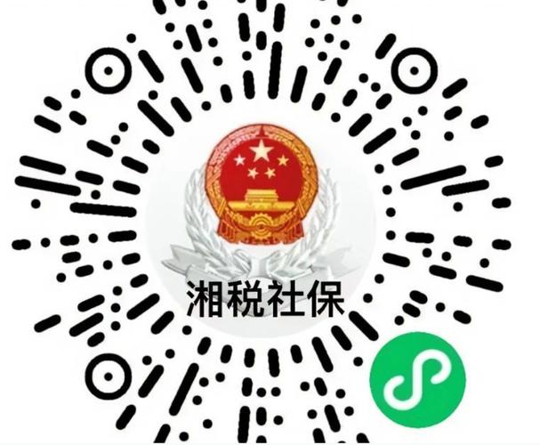 湘税社保app下载截图